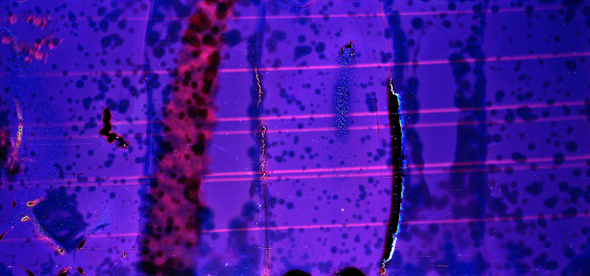 Blog - Matthew Cetta